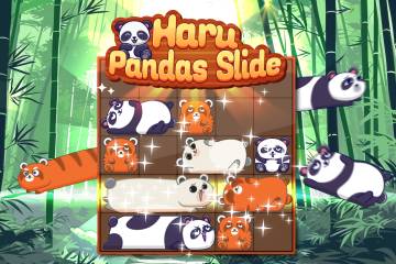 Haru Pandas Slide